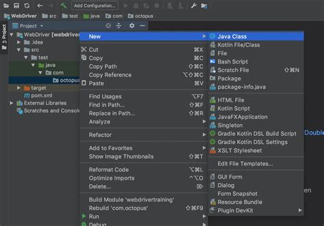 Selenium Series The First WebDriver Test Octopus Blog