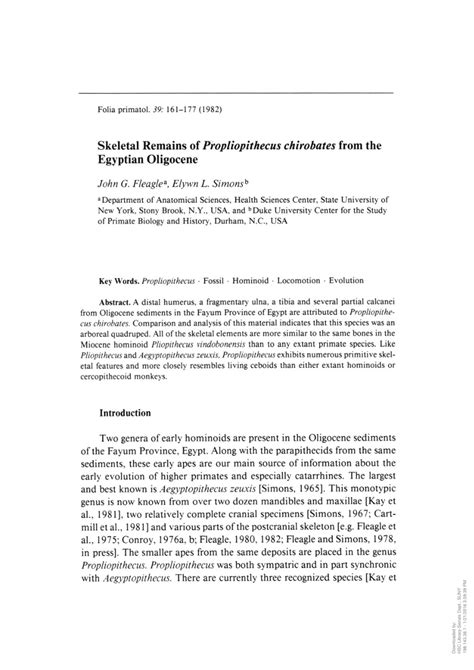 Pdf Skeletal Remains Of Propliopithecus Chirobates From The Egyptian
