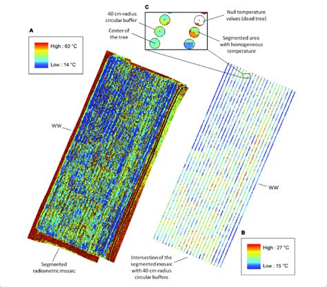 Canopy Temperature T C Extracted From Segmented Radiometric