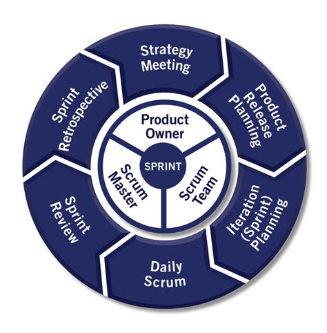 Image Of Cycle For Agile Roles And Terms Other Graphic Design Contest