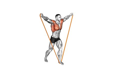 10 Essential Shoulder Exercises With Cables For Maximum Strength And Definition Workout Guru