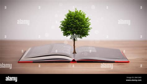 Tree Growing From An Open Book Stock Photo Alamy