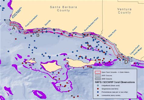 Map Of California Halibut Trawl Grounds Showing Known Locations Of