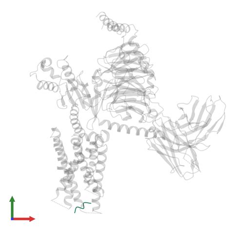 Pdbe Kb Protein Pages