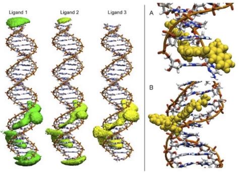 Figure 1 From Efficient Fluorescent Recognition Of Atp Gtp By A Water Soluble Bisquinolinium