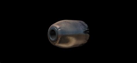 bullet c4d free