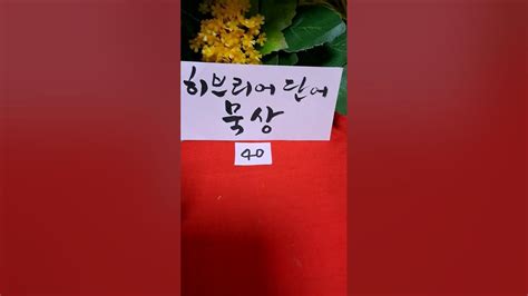 히브리어 단어 묵상 독수리 Youtube