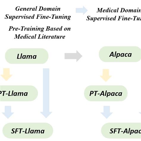 Technical Routes Of Transforming The General Domain Llms Into The