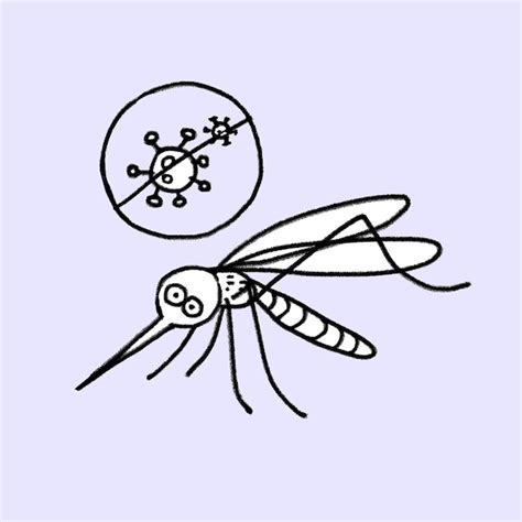 Free Vector Coronavirus Cannot Be Transmitted Through Mosquito Bites