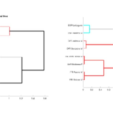 Dendrograms For The Two Types Of Data In Dataset B Perceptual Data Download Scientific Diagram
