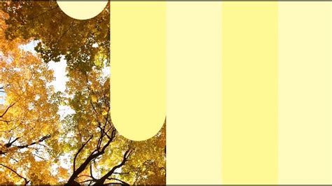 영상소스 다운로드 노랑색 동글 라인 화면전환 투명 렌더링 영상소스 Mov 투명배경 Youtube