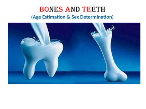 Bones And Teeth Presentation Age Estimation Pptx