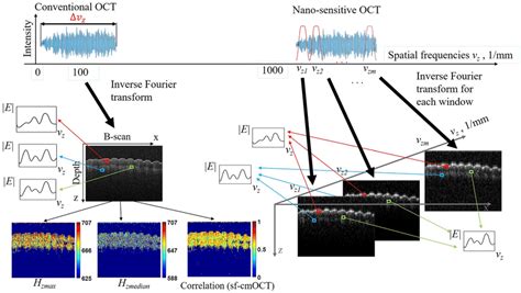 Principle Of Detection Of The High Spatial Frequency Information From Download Scientific