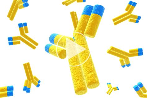 Considerations For Ligand Binding Assay Platforms How To Choose The Right Platform To Meet Your