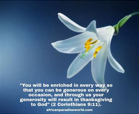 30 Insightful Bible Verses About Blessings From The Lord