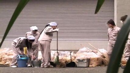 Dandy Jav Film Female Cleaner Service Is Giving Blowjobs Nao Tachibana Airi Mini
