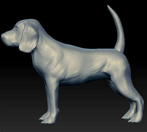 Stl File Beagle Sculpt・3d Print Object To Download・cults