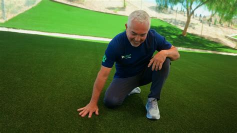 West Michigan K9grass Foreverlawn