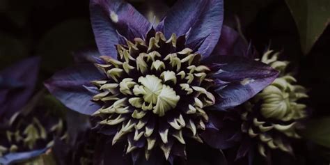 Javascript Data Structures Doubly Linked List 30 Seconds Of Code