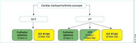 Cardiac Syncope Management Cardio Guide
