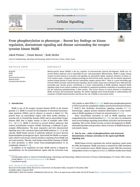 Pdf From Phosphorylation To Phenotype Recent Key Findings On Kinase