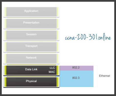 Ethernet Frame Ccna 200 301