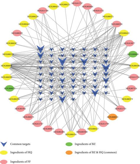 Network Construction A Compound Target Network The Blue Nodes