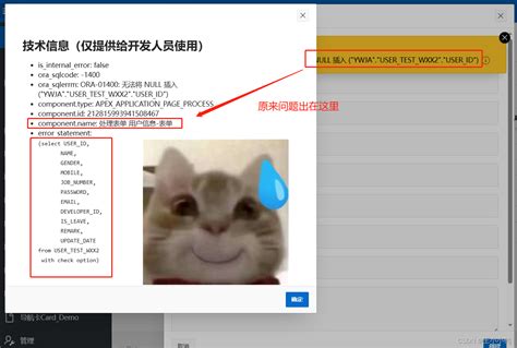 apex数据源加载实现excel表数据导入及自定义存储过程 oracle apex 创建数据加载页面 csdn博客
