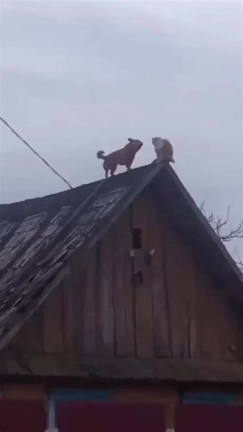 You Go Away You Go Away You Go Away Uhm No Album On Imgur