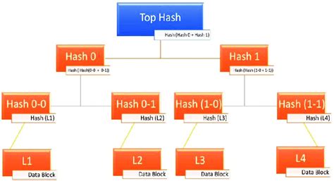 tree structure of merkle root hash download scientific diagram