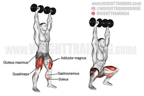 Overhead Press Dumbbell Standards At Charlotte Mcgowan Blog