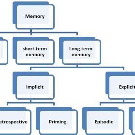 Human Memory Diagram