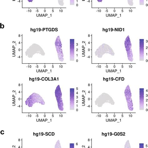 Feature Plots Showing The Expression Of Cluster Marker Genes For Download Scientific Diagram