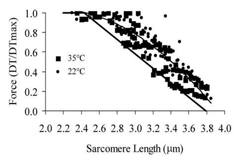 Force Length Relation For Tetanic Contractions N 10 The