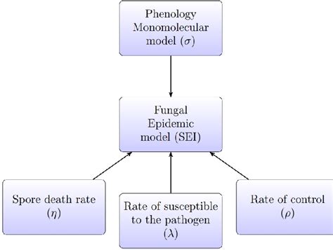 Figure 3 From Digitalized Biomathematical Models For The Dynamic Analysis Of Gray Mold Caused By