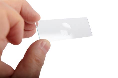 Glass Microscope Slides Single Cavity Pack Of 50 Nhbs Wildlife Survey And Monitoring