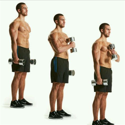 Single Arm Cross Body By Samuel A Exercise How To Skimble