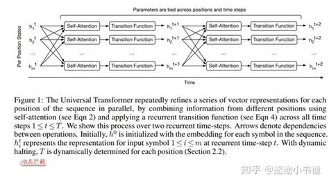 [综述] A Survey Of Transformers [8] 架构层面变体 知乎