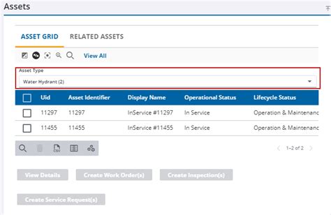Export Asset Details