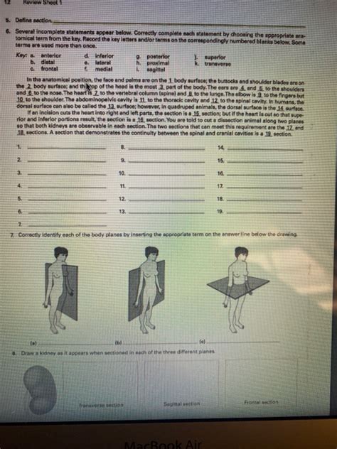 solved 12 review sheet1 5 dafina section 6 several