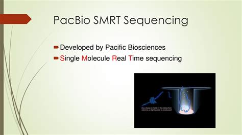 Ppt A Fault Tolerant Method For Hla Typing With Pacbio Data Powerpoint Presentation Id 2278903
