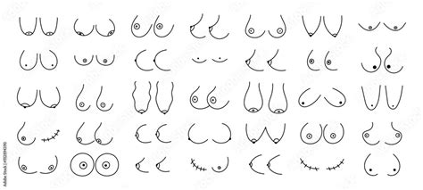 Woman Breast Doodle Women Body Parts Sketch Simple Different Types
