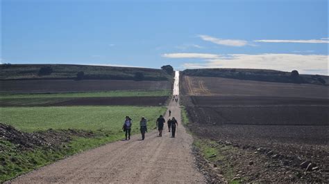 산티아고 순례길 9코스 11일차20241011 나헤라 산토도밍고 데라칼사다약 21km Youtube