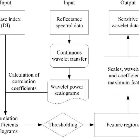 Workflow Of Feature Extraction Using Continuous Wavelet Analysis Download Scientific Diagram