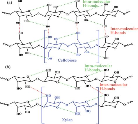 Cellobiose Chair Conformation