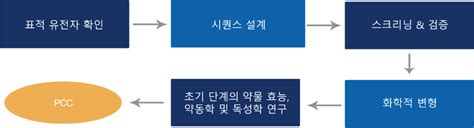 올리고뉴클레오티드 약물 합성 Gencefebio