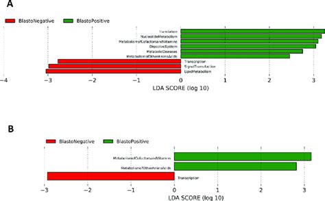 Influence Of Blastocystis Sp On The Gut Microbial Function In A