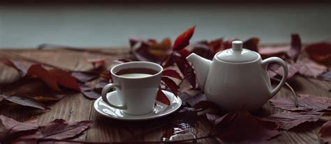 단풍을 배경으로 한 테이블에 허브 차와 찻주전자를 곁들인 컵을 클로즈업합니다 다도의 가을 소박한 정물 0명에 대한 스톡 사진 및 기타 이미지 Istock