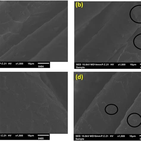 Scanning Electron Microscopy Sem Analysis Of A Un Irradiated Wool Download Scientific