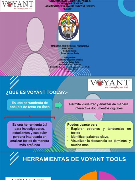Voyant Tools Grupo 2 Pdf Informática